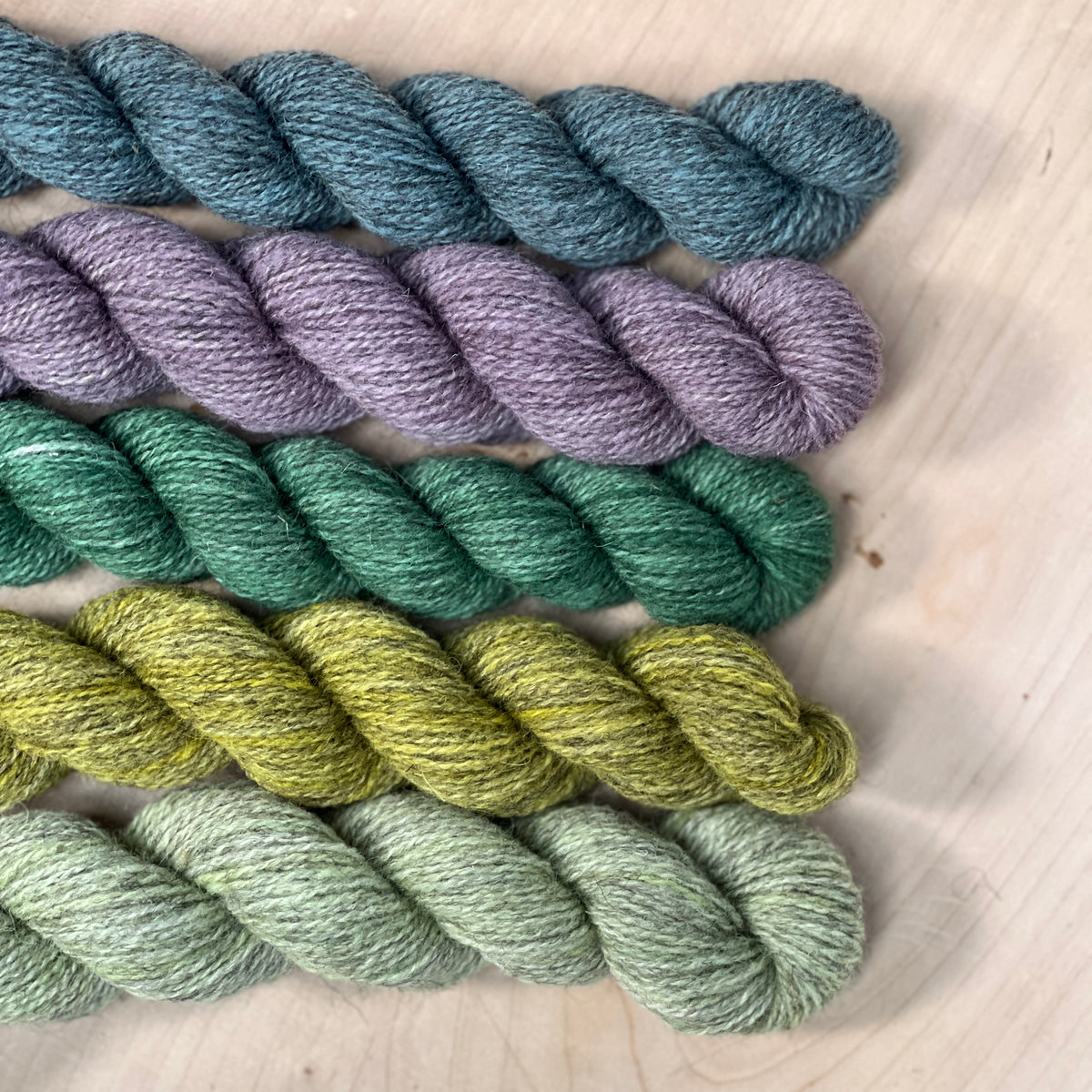 Hampshire 4ply Mini Skeins - Spring Blooms – The Grey Sheep Co